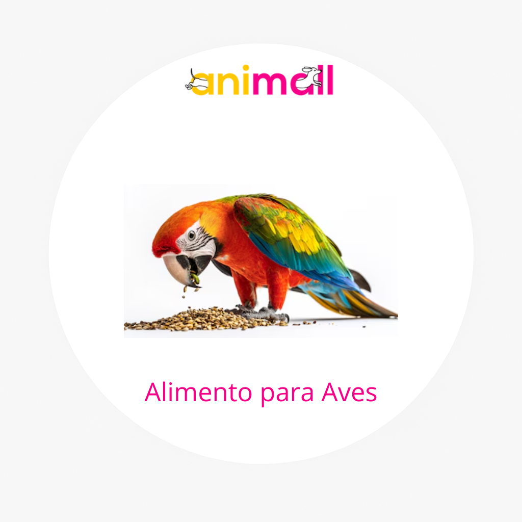 Alimento para aves | Comida para pericos, canarios y loros