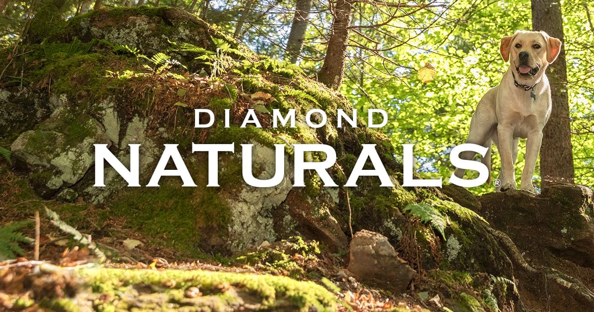 Diamond Naturals