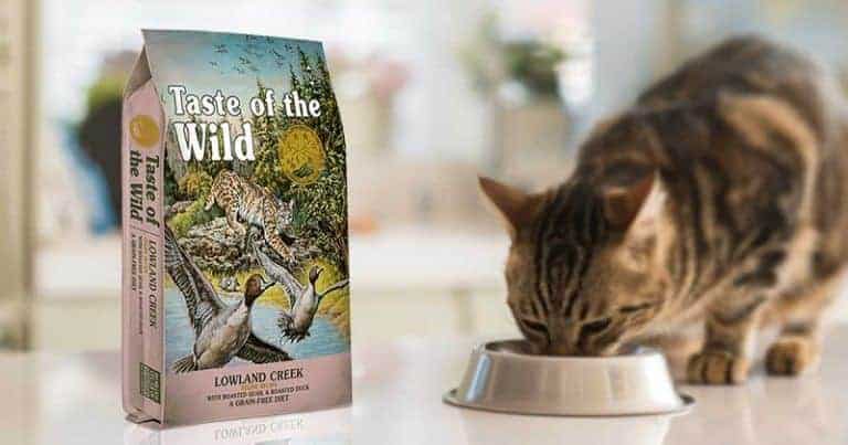 Taste of the Wild Gatos Alimento Grain Free Premium para Felinos