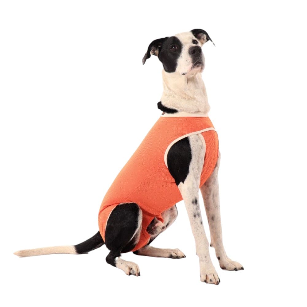 Copper Vet Body Cobre Original Postoperatiorio Talla 2