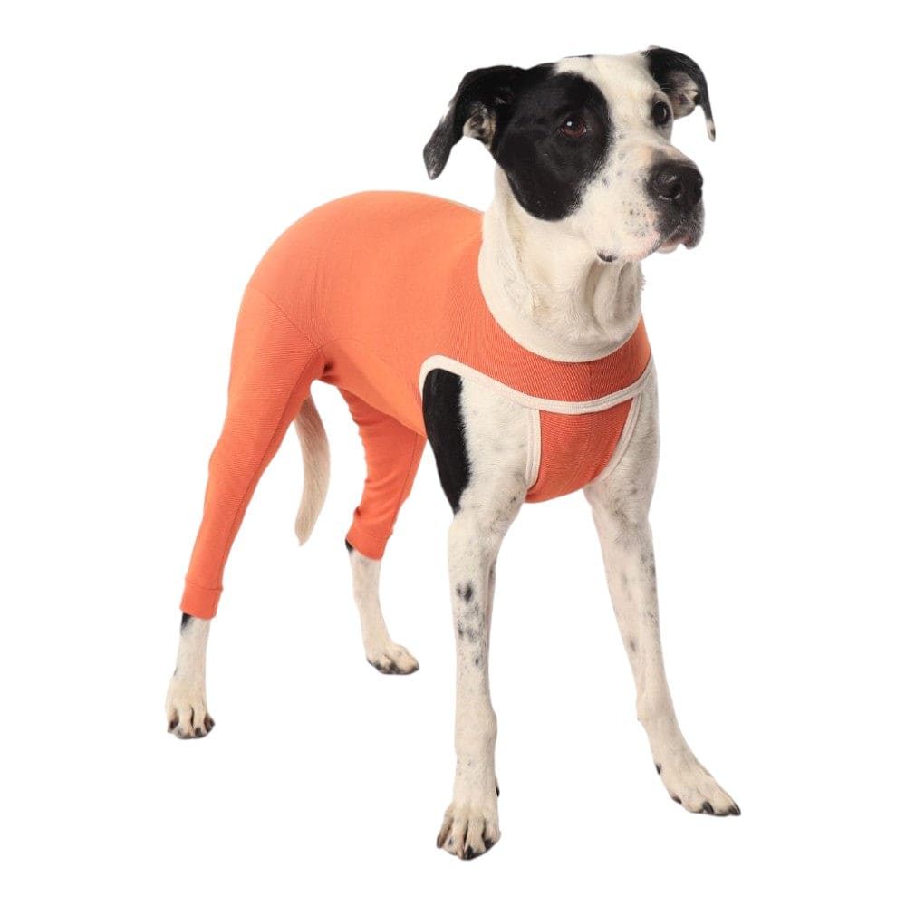 Copper Vet Body Cobre Postoperatiorio 2X con Patas Traseras Talla 3