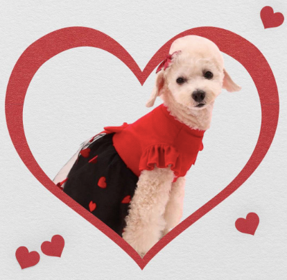 MederiLab - Respimed 30 Tabletas Perros y Gatos, Mederilab