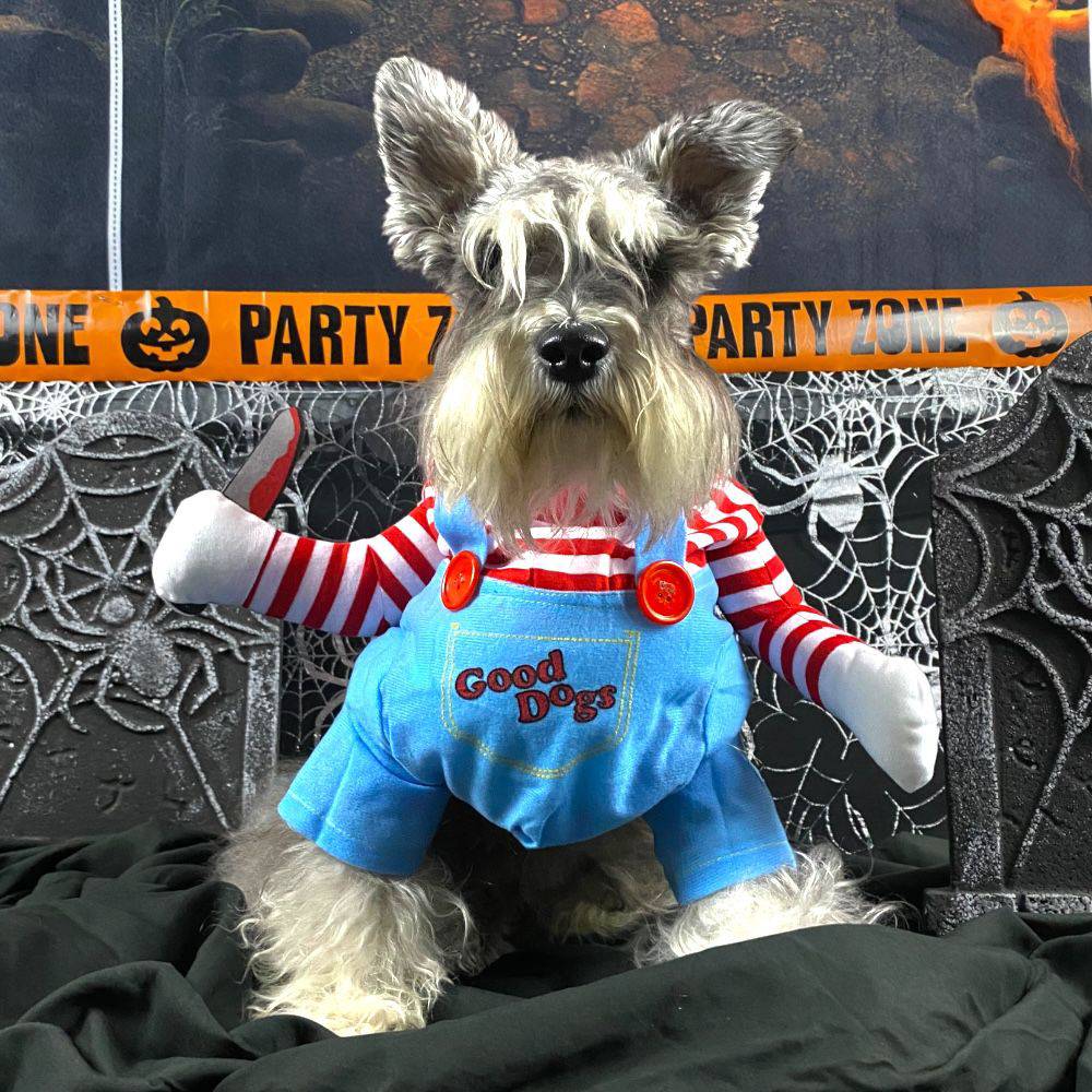 Chucky Halloween Disfraz S