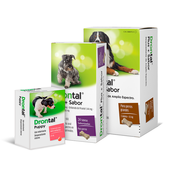 Drontal Plus Perros Tasty Flavour para Perros 24 Tabletas, Elanco